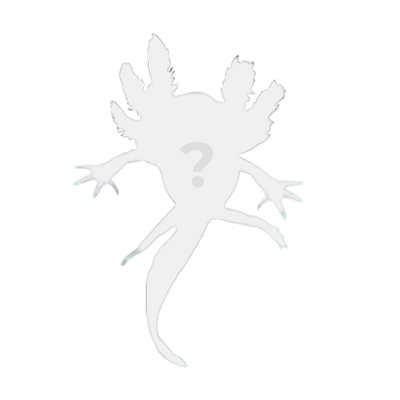 The #1 Guide to Axolotl Sickness and Health | Blog | Axolotl Planet